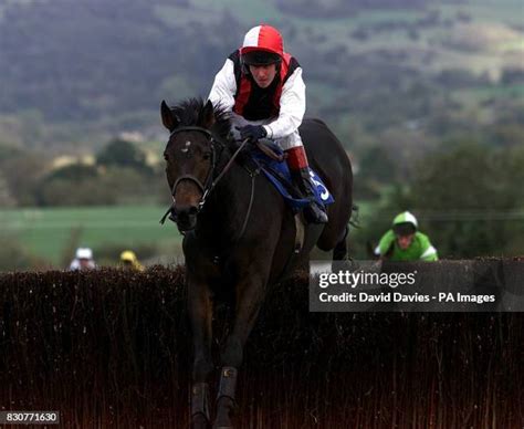 47 David Mcphail Photos And High Res Pictures Getty Images