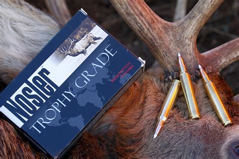 Bull Elk Bullets And Rifles Part 4 Ron Spomer Outdoors