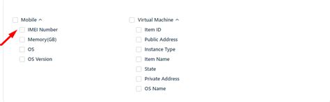 How To Leverage Conditional Asset Type Fields In Analytics To Fulfill