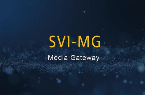Media Gateway Controller Function Squire Technologies