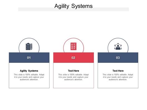 Agility Systems Ppt Powerpoint Presentation Portfolio Template Cpb