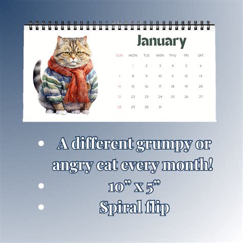 2024 Fat Cat In Sweater Desk Calendar Angry Cat Calendar Sold By