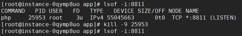 How To Solve Error Address Already In Use Programmerah