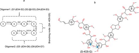 Representation Of Branched Chain Structures A Graph Based Encoding
