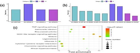 Functional Enrichment Analysis Of Degs A Showed The Functional