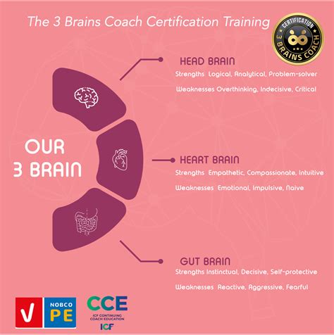 3 Brains Coach Certification Icf For 40 Cceus Accredited 3 Brains Academy