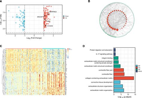 Frontiers A Novel Signature Constructed By Differential Genes Of Muscle Invasive And Non