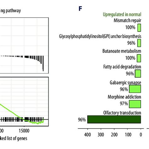 Hierarchical Clustering Results Of Gene Expression And Functional Download Scientific Diagram