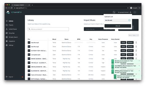 testing your integration credentials cyanite ai api documentation