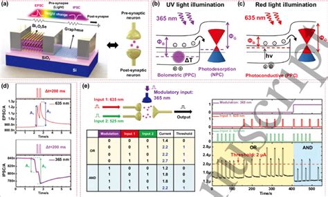 Optoelectronic Synaptic Application For Logic Computing A Schematic