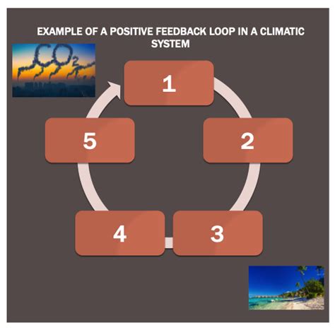 Schaubild „positive Feedback Loop“ Quizlet