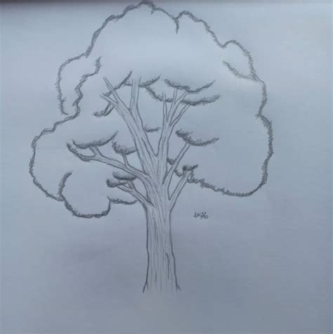Snowy Tree Pencil Drawing