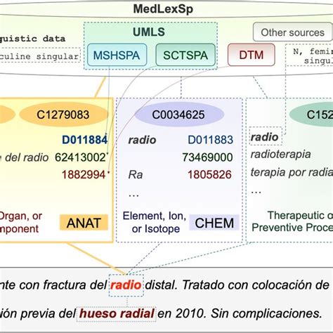 T SNE Visualization Of The Most Frequent Words In The Corpus Download Scientific Diagram