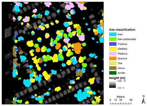 Improved Classification Of Urban Trees Using A Widespread Multi