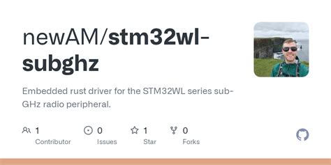Github Newam Stm Wl Subghz Embedded Rust Driver For The Stm Wl Series Sub Ghz Radio Peripheral