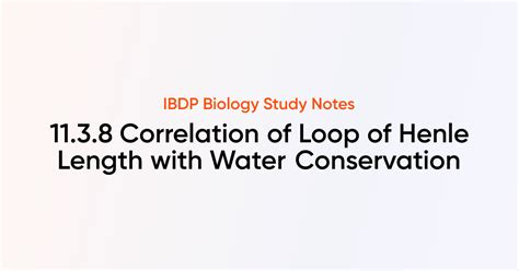 Correlation Of Loop Of Henle Length With Water Conservation 11 3 8 Ib Dp Biology Notes