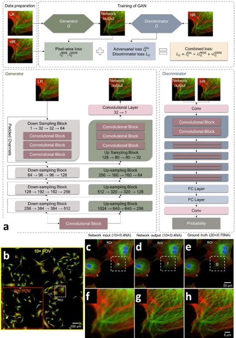 A The Training Process And The Architecture Of The Generative Download Scientific Diagram