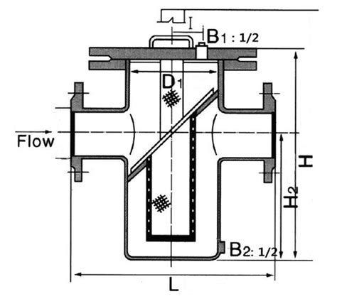 2 Inch Stainless Steel Basket Strainer
