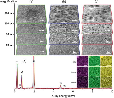 Fe‐sem Micrographs [in Grayscale And Taken At Different Magnifications Download Scientific
