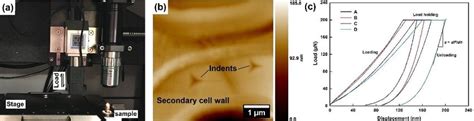 Nanoindentation Set Up A Wood Sample Mounted In Hysitron