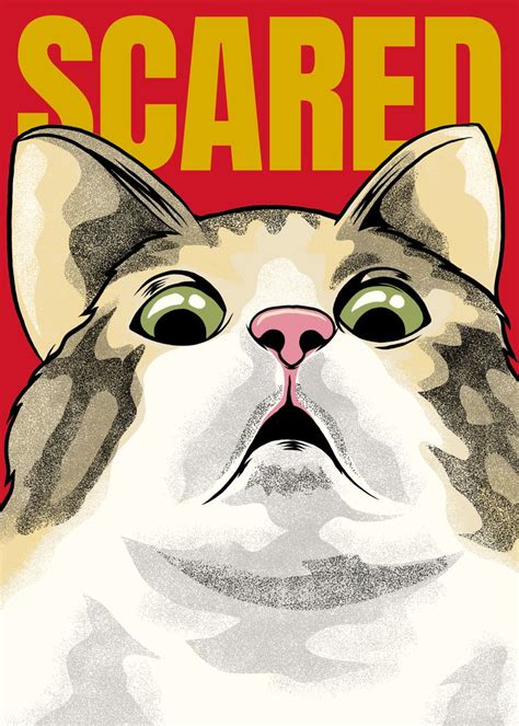 Scared Cat Meme Poster By Mikhaila Poster Design Displate