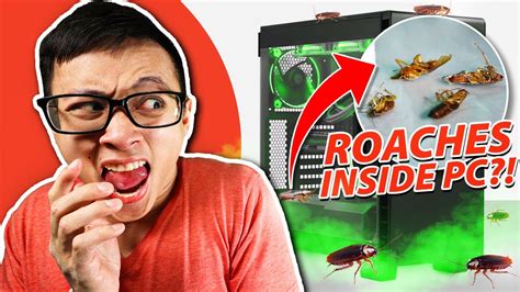 Fixing A Cockroach Infested Gaming Pc 😱 Youtube
