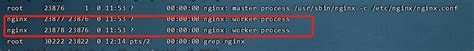 nginx的权限问题(13: Permission denied)的解决办法_nginx permission denied-CSDN博客