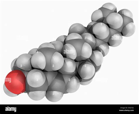 Cholesterol Molecular Model Cut Out Stock Images And Pictures Alamy