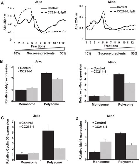 Effect Of Cc214 1 On Polysomal Rna A Polysomal Analysis Was Download Scientific Diagram