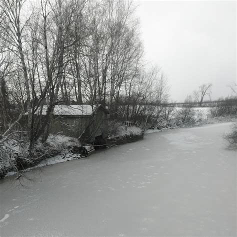 Serge Bouchard Youtube