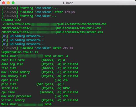 Gulp Segmentation Fault 11 Abort Trap 6 Stack Overflow