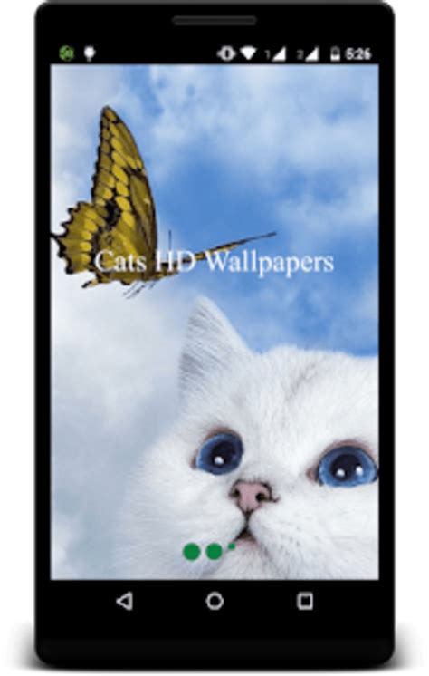 Cats Hd Wallpapers Para Android Descargar