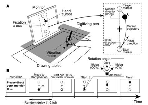 Figure 1 From Individual Optimal Attentional Strategy In Motor Learning Tasks Characterized By