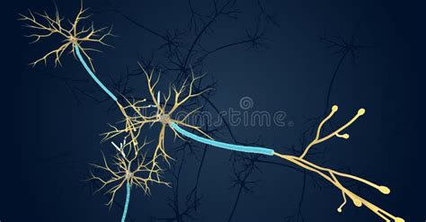 X Neuron Stock Illustrations X Neuron Stock Illustrations Vectors Clipart Dreamstime
