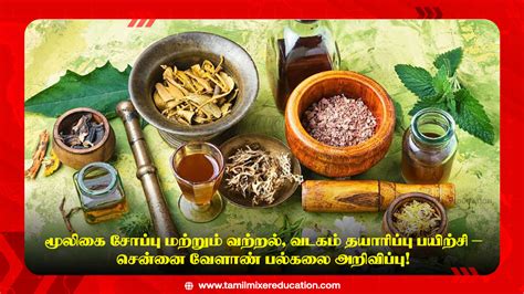 🌿 மூலிகை சோப்பு மற்றும் வற்றல் வடகம் தயாரிப்பு பயிற்சி சென்னை வேளாண்