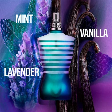 Le Male Jean Paul Gaultier Perfume Original