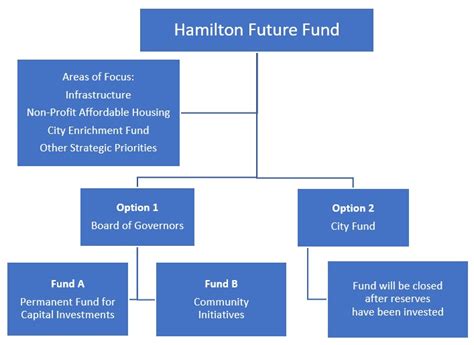 Hamilton Future Fund Governance Review And Reserve Strategy Engage
