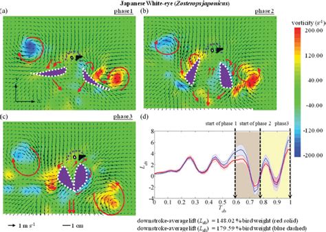 Color Online Ac Wake Flow Fields Frontal Plane Of A Hovering