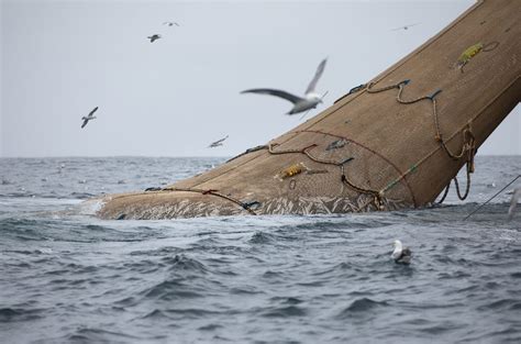 Is Donald Trump About To Fast Track Deep Seabed Mining Oceanographic
