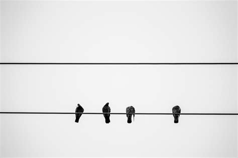 10 Tips For Creating Effective Visual Hierarchy In Design