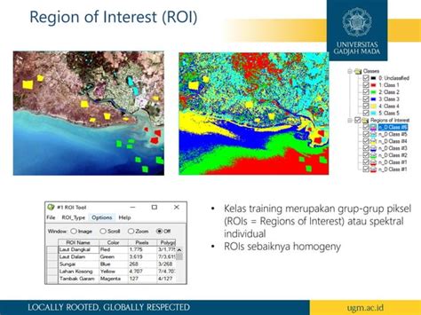 Supervised And Unsupervised Classifications Pdf