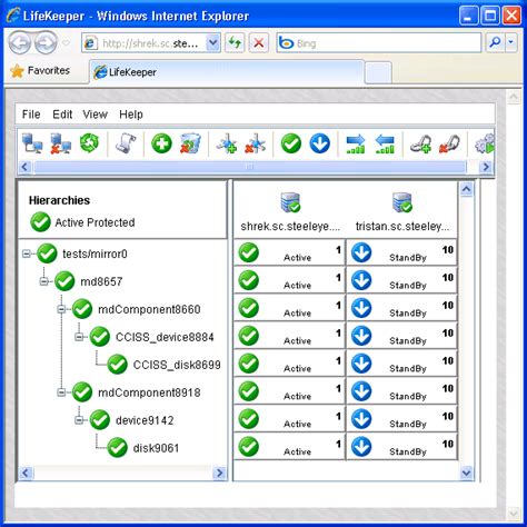 software raid hierarchy creation and administration lifekeeper for
