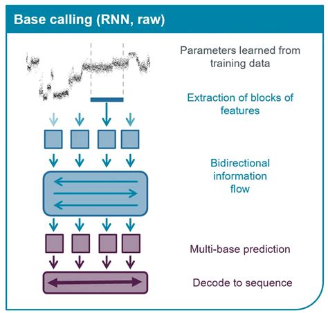 How Basecalling Works Oxford Nanopore Technologies