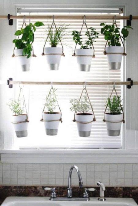 11 Maneiras Diferentes De Cultivar Ervas Aromáticas Diretamente Em Sua Cozinha Assim Que Faz