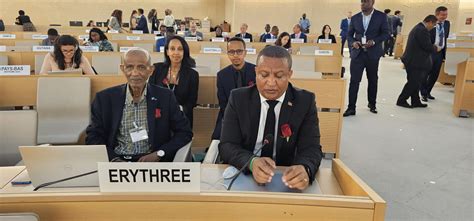 Statement By Mr Habtom Charge Daffairs At The Permanent Mission Of Eritrea To The Un During