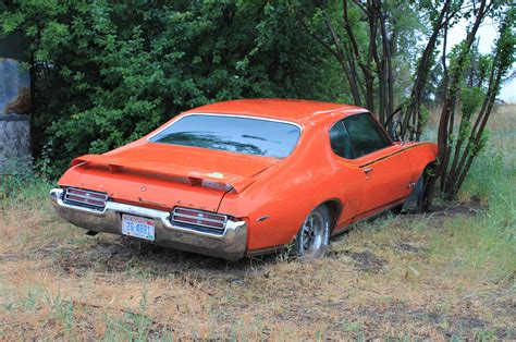 The Judge In The Tree Is Finally Free 1969 Pontiac GTO Saved After 30