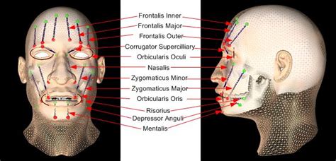 yu zhang s example based performance driven facial animation