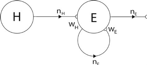 A Recurrent Excitatory Network Download Scientific Diagram