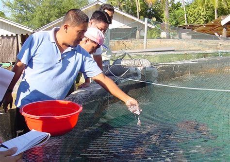Cooperative Efforts Drive Marine Finfish Aquaculture Development In