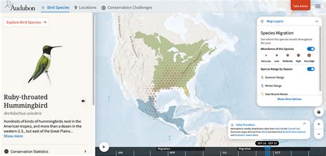 Use Audubons Bird Migration Explorer To Track Bird Migrations In North